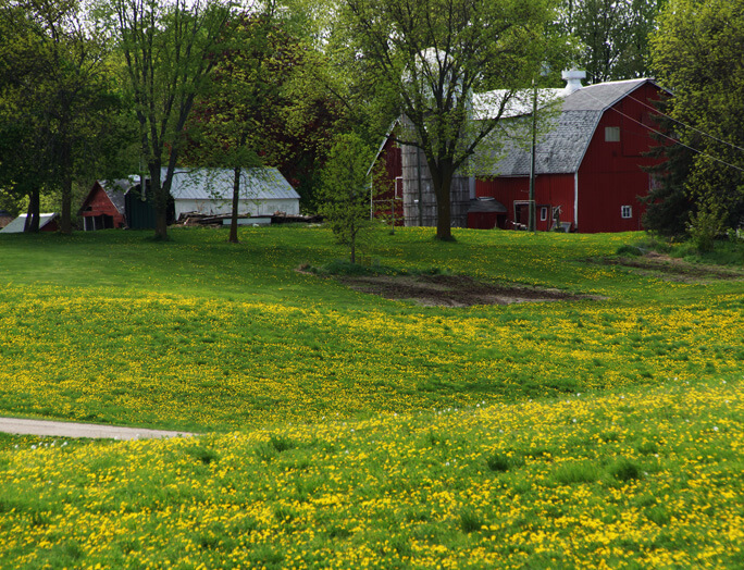 Minnesota_McLeodCounty - Rachel Huls